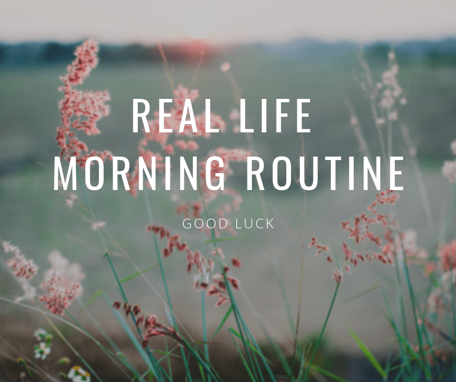 My Real World Morning Routine for… um, Success? – Jill Will Run